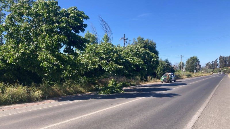 Microbús se incendia en pleno centro de Melipilla y árbol cae sobre ...