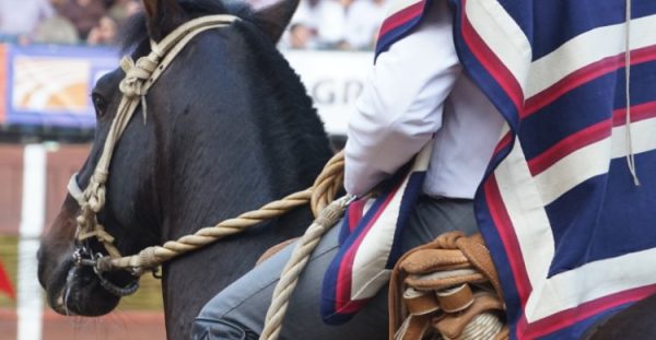Federación del Rodeo Chileno sostuvo encuentro de trabajo con el SAG ...