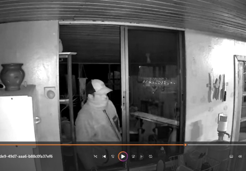 Cámaras captan accionar de delincuentes que ingresaron a vivienda ...